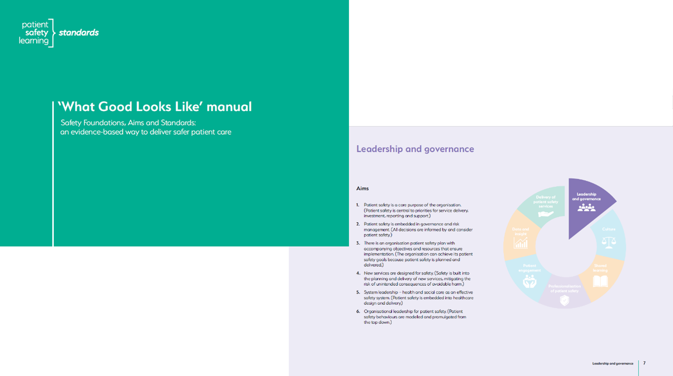 ‘What Good Looks Like’: supporting products & services - Patient Safety ...